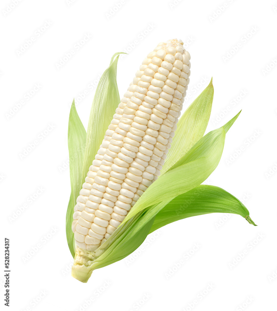 Fresh white corn isolated on white background. Clipping path. Stock ...