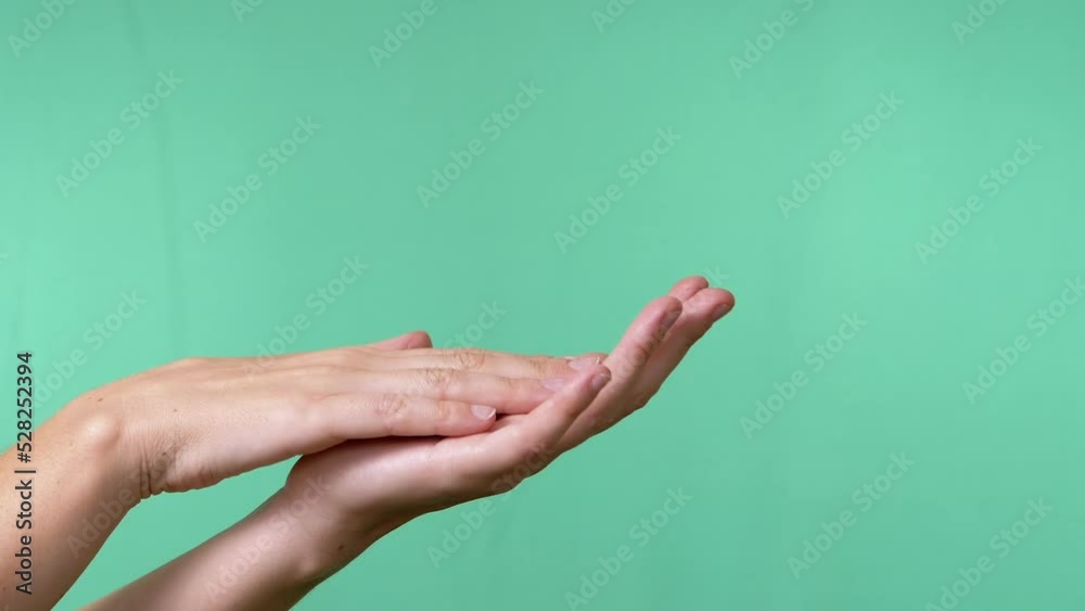 Female Hands Clapping their Hands on Empty Isolated Green Chroma Key ...