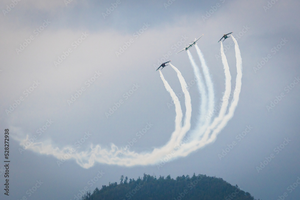 The historic fleet of the Flying Bulls from Austria performing a ...