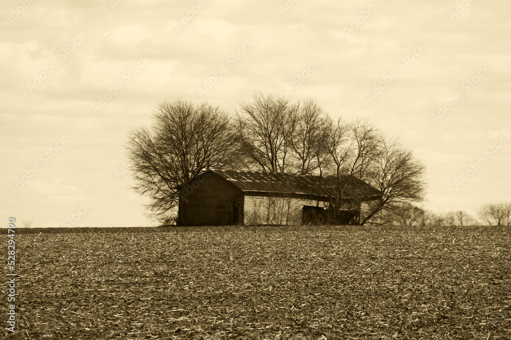 rural old deserted farm barn harvest farming cornfield corn harvested ...