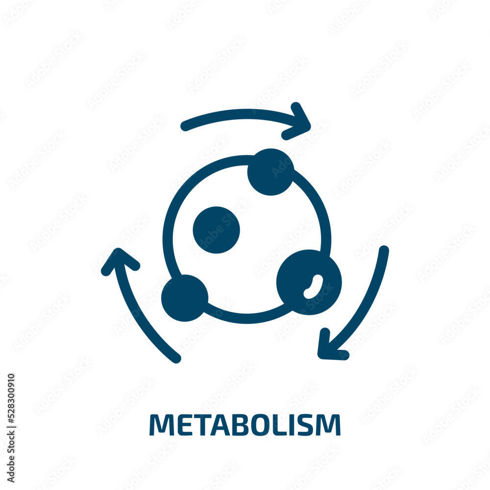 metabolism vector icon. metabolism, health, fitness filled icons from flat biology concept ...