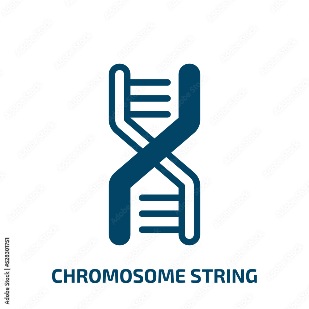 chromosome string vector icon. chromosome string, biology, science filled icons from flat ...