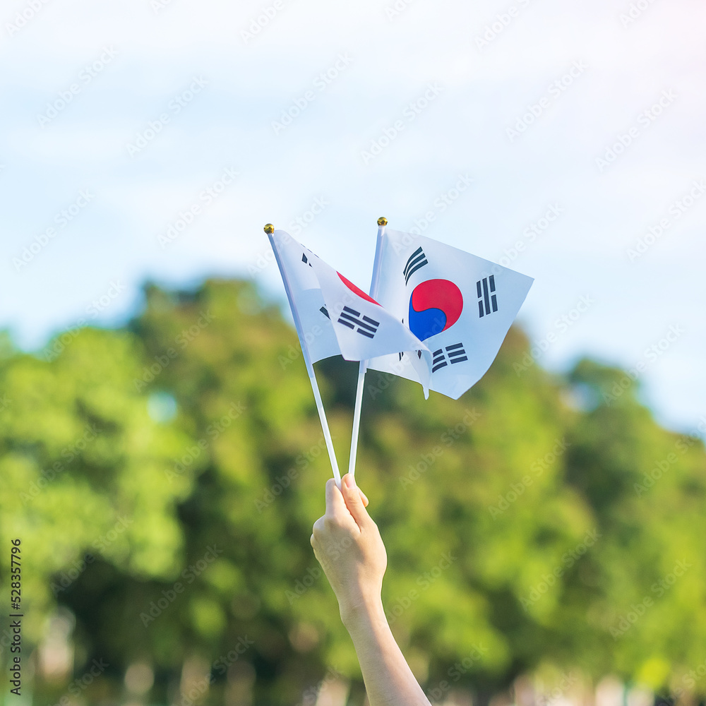 hand holding Korea flag on nature background. National Foundation ...
