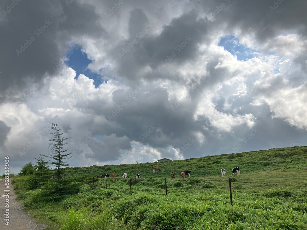Utsukushigahara is a 2000-meter tall plateau located roughly between ...