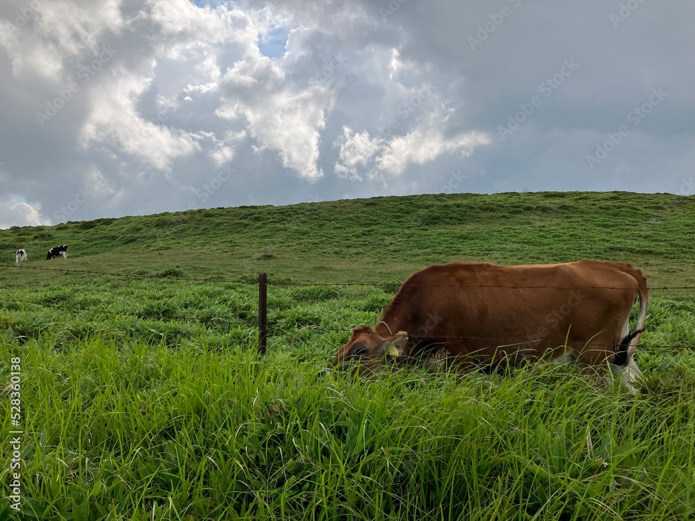 Utsukushigahara is a 2000-meter tall plateau located roughly between ...
