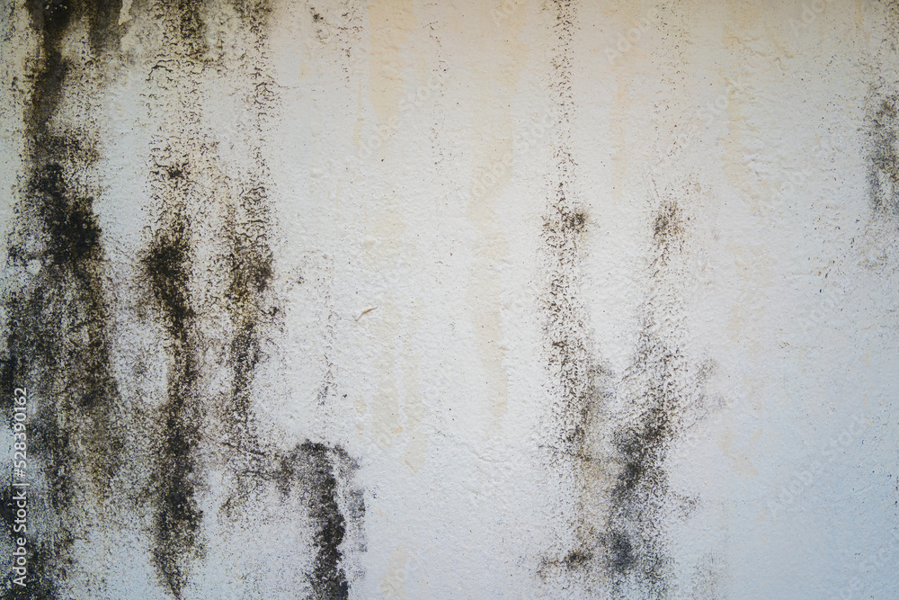 Texture of old gray concrete wall for background. Rust damaged to ...
