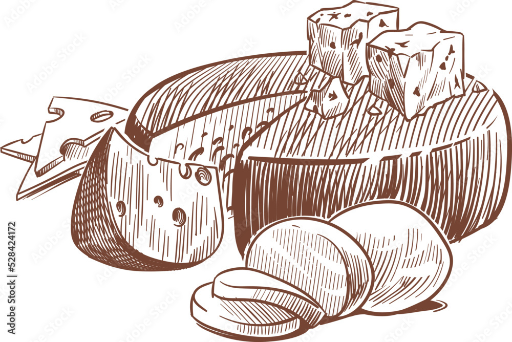 Sketch cheese. Art compositions with different types cheeses, whole ...