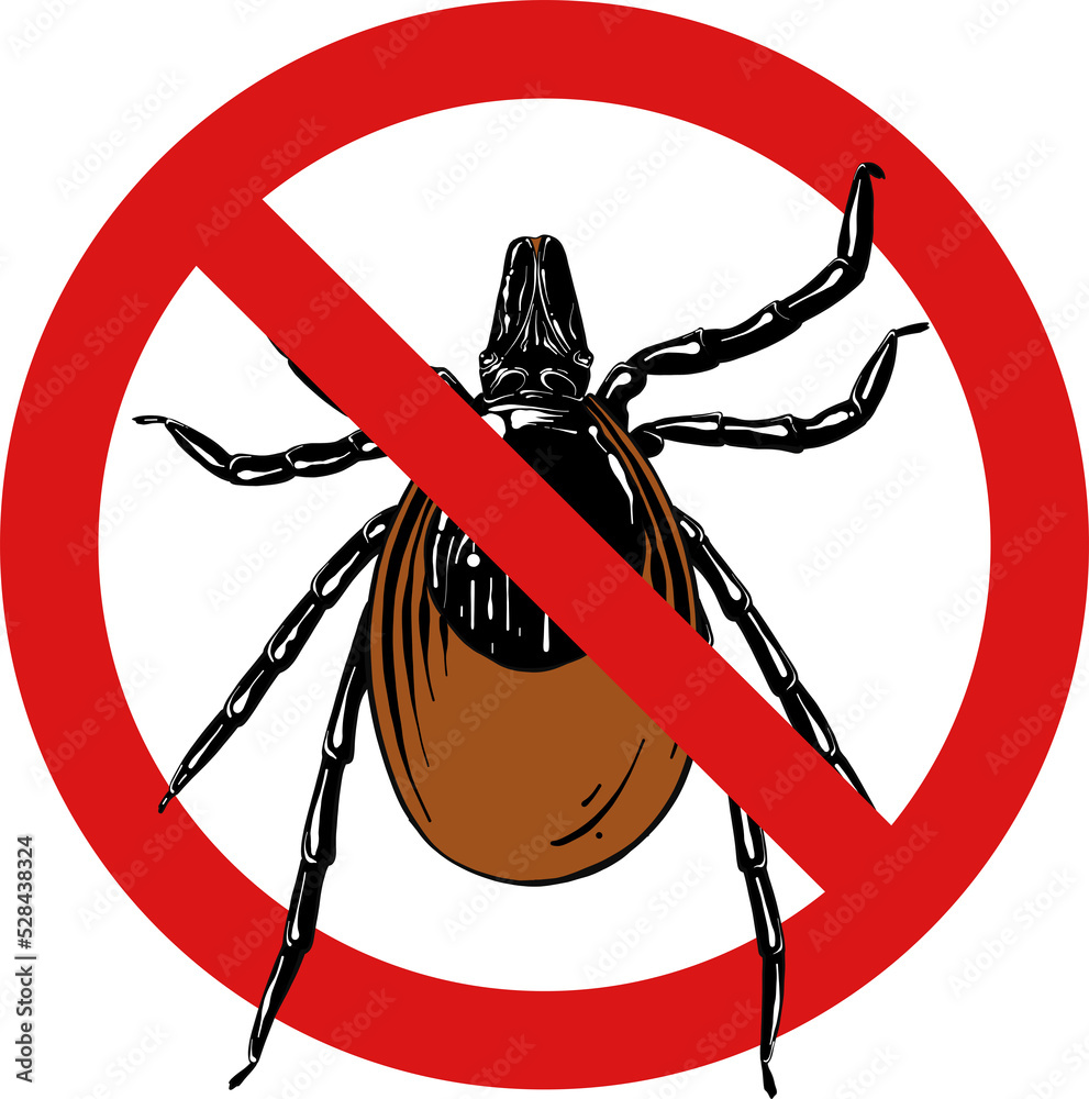 PNG hand drawn engraved isolated illustration of mite allergy, parasite ...