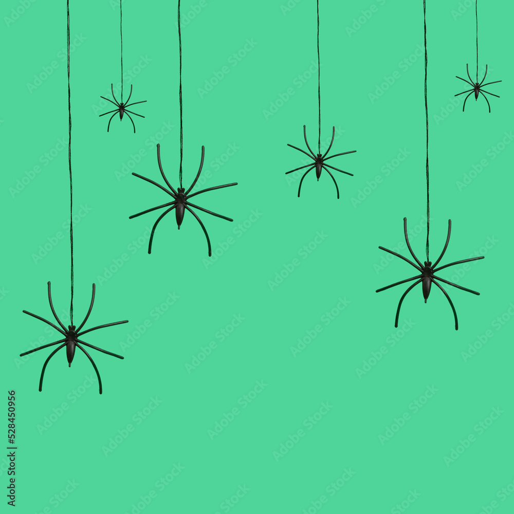 Spiders coming down one line of their web. Halloween background in a ...