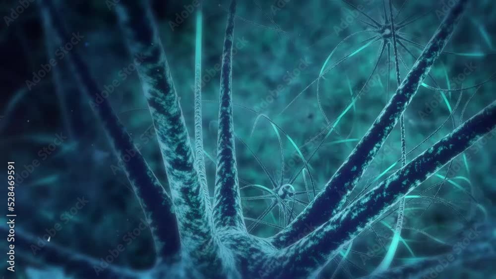 Neurons And Neural Connections 3d Render Neuronal Activity In The Brain Dive Into Brain