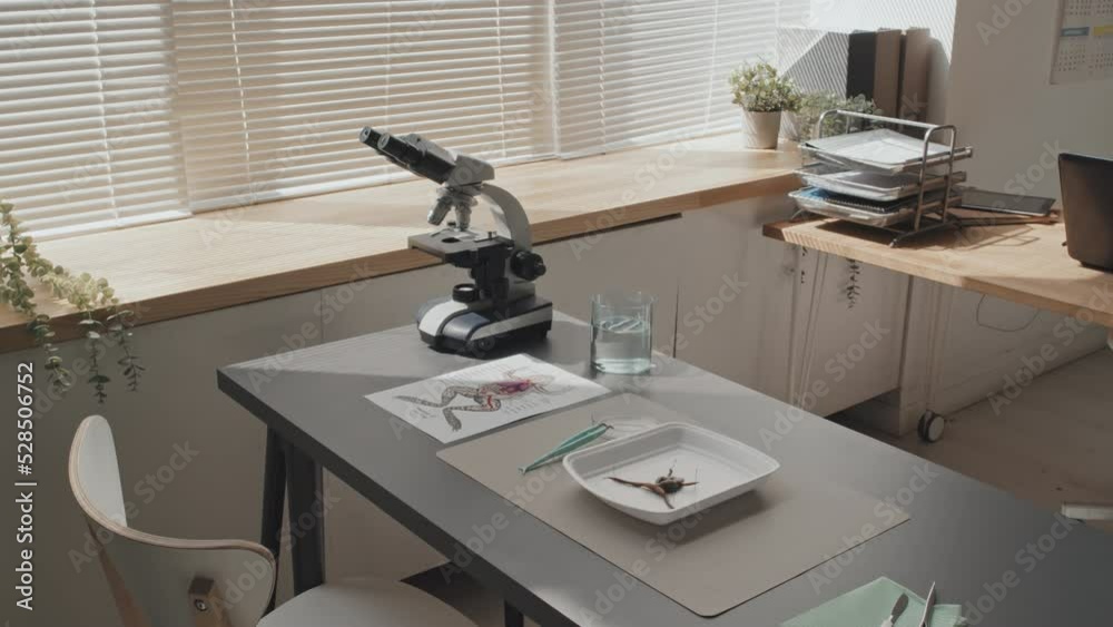 Top-down view of microscope, sheet with anatomy map and frog for ...