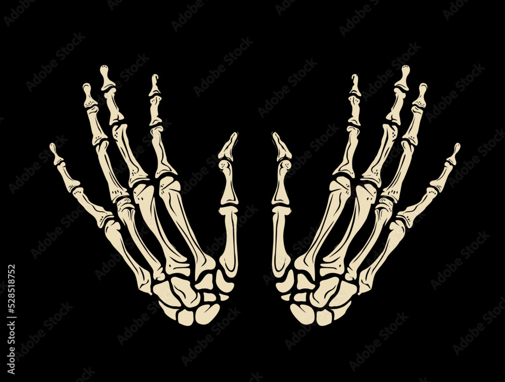 Human skeleton bone hands vintage drawing. Vector skeleton hand ...