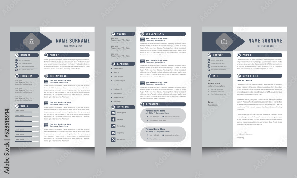 Professional Resume CV Template and Cover Letter Layout Set Design ...