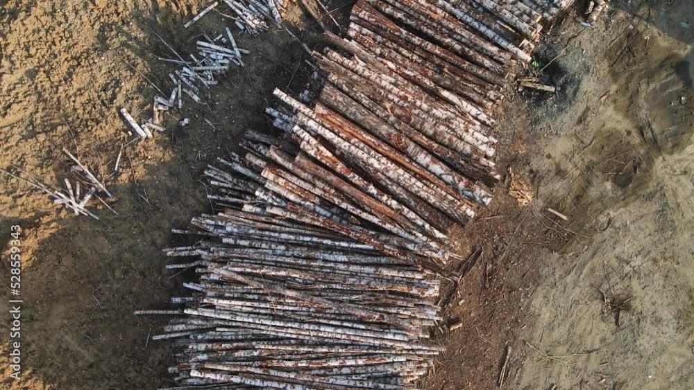 A stack of felled trees stacked on top of each other, aerial view ...