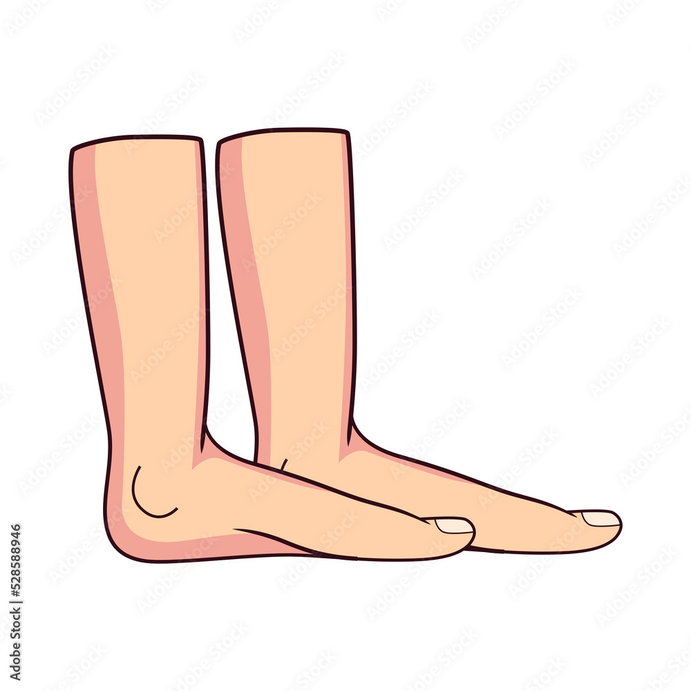 cartoon leg isolated white background Stock Illustration | Adobe Stock