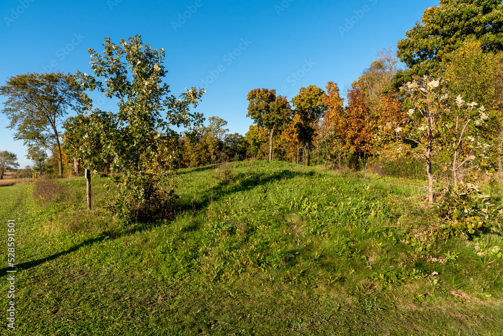 Nitschke Mound Park Native American Mound Site, Burnett, Wisconsin ...