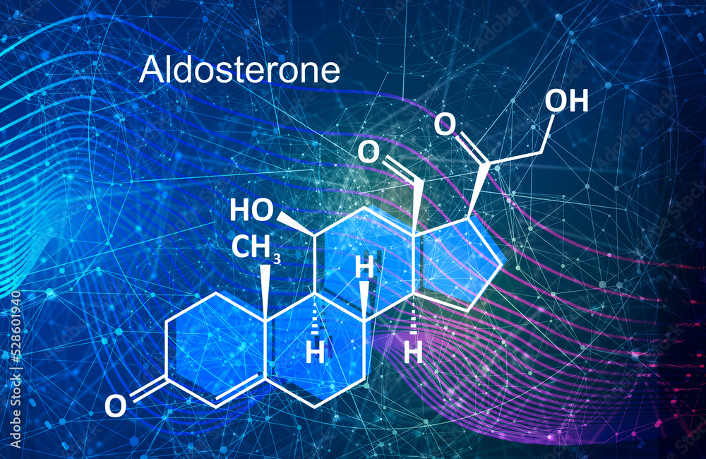 Aldosterone Mineralocorticoid Hormone Produced By The Adrenal Gland