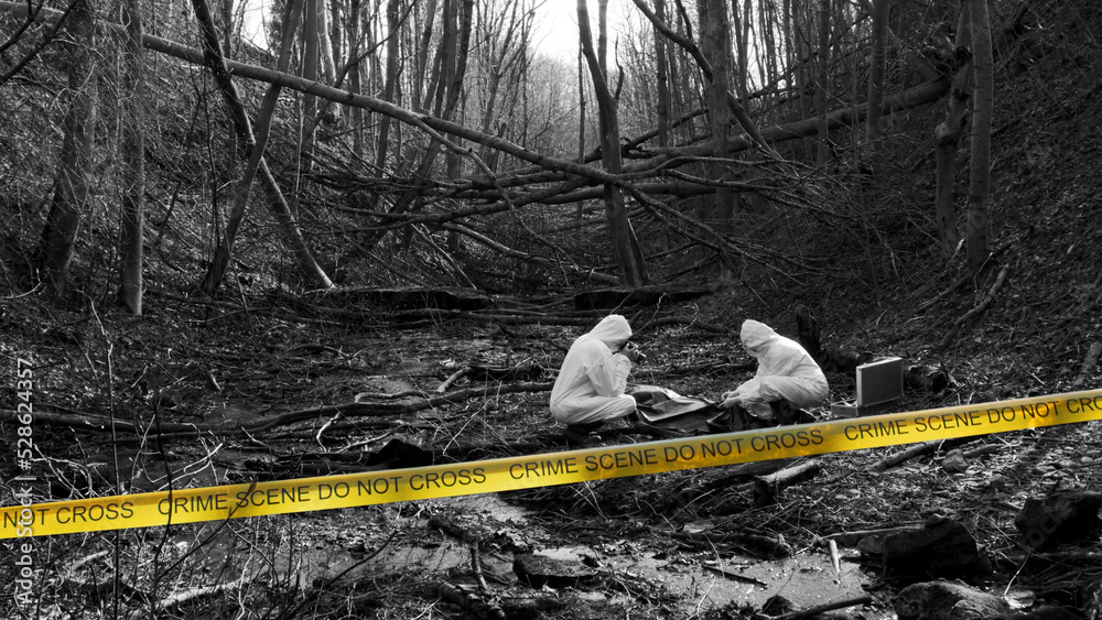 Detectives are collecting evidence in a crime scene. Forensic ...