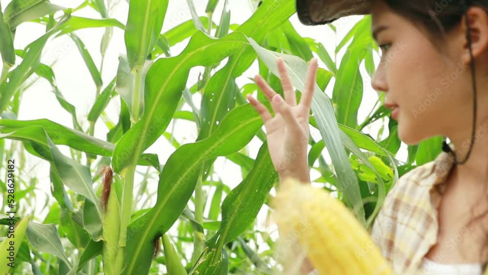 Farmer, beautiful asian female worker wearing cowboy hat proudly ...