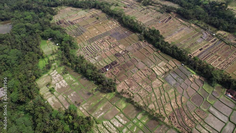 Cultivated land divided to stripes by rivers, aerial shot of harvested ...