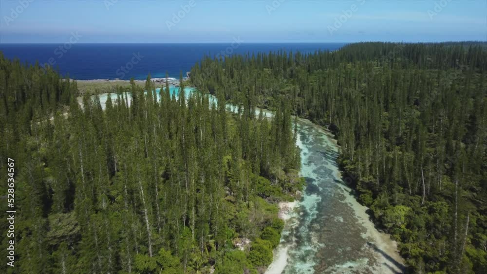 Flyover above narrow channel running through columnar pine tree forest to the natural pool of ...