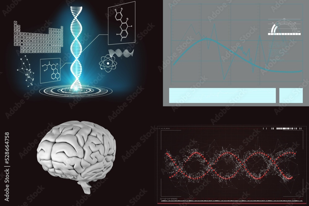 Human brain with DNA structure and reports Stock Illustration | Adobe Stock