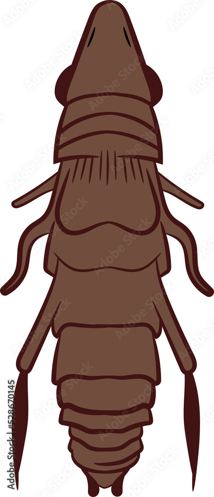 Flea Vector Illustration Isolated on White Background. Insects Bugs ...