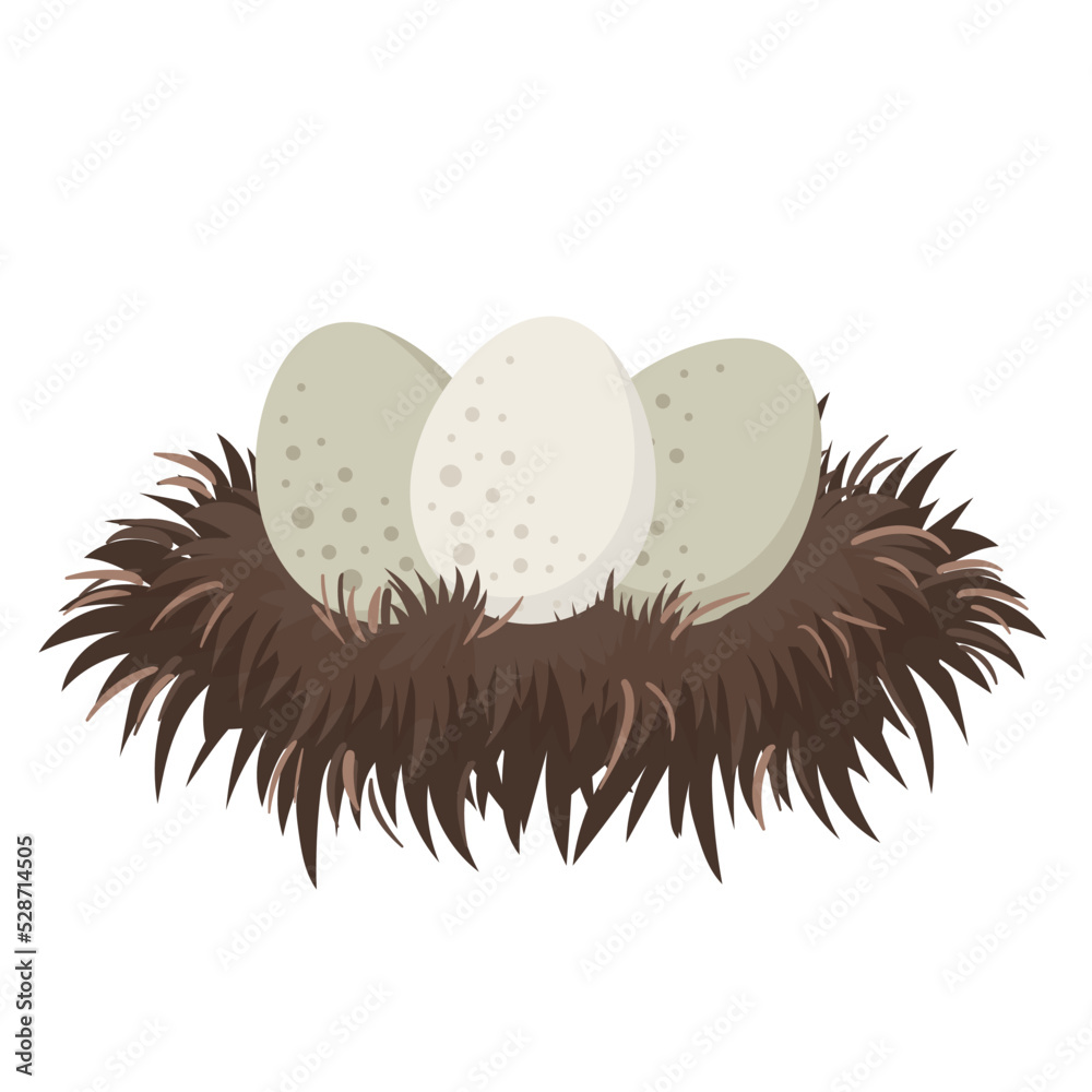 Egg In A Nest Clipart