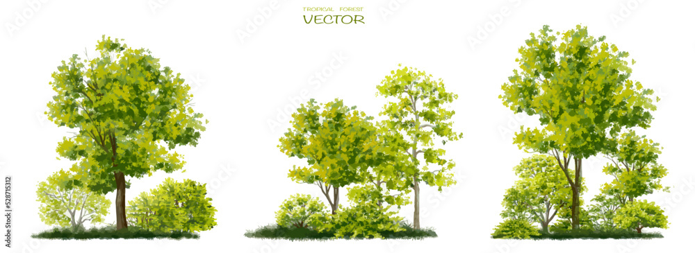 Vector watercolor of tree side view isolated on white background for ...