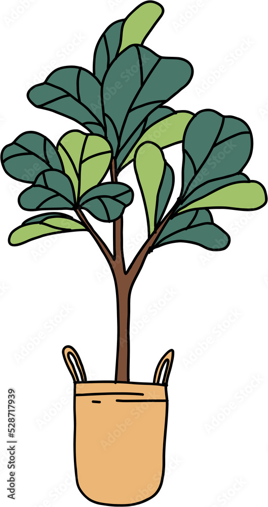 freehand sketch drawing of fiddle leaf fig tree. Stock Illustration ...