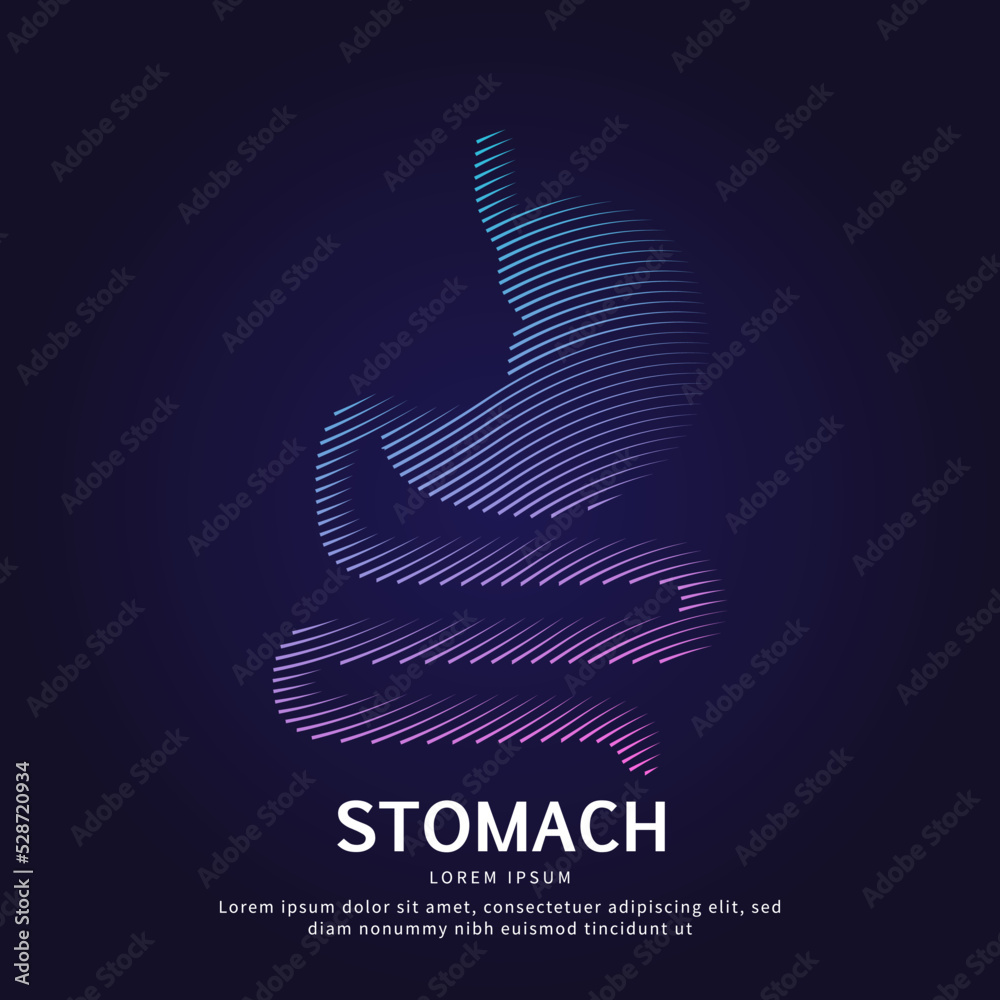 Human stomach medical structure. Creative simple line art Vector logo ...