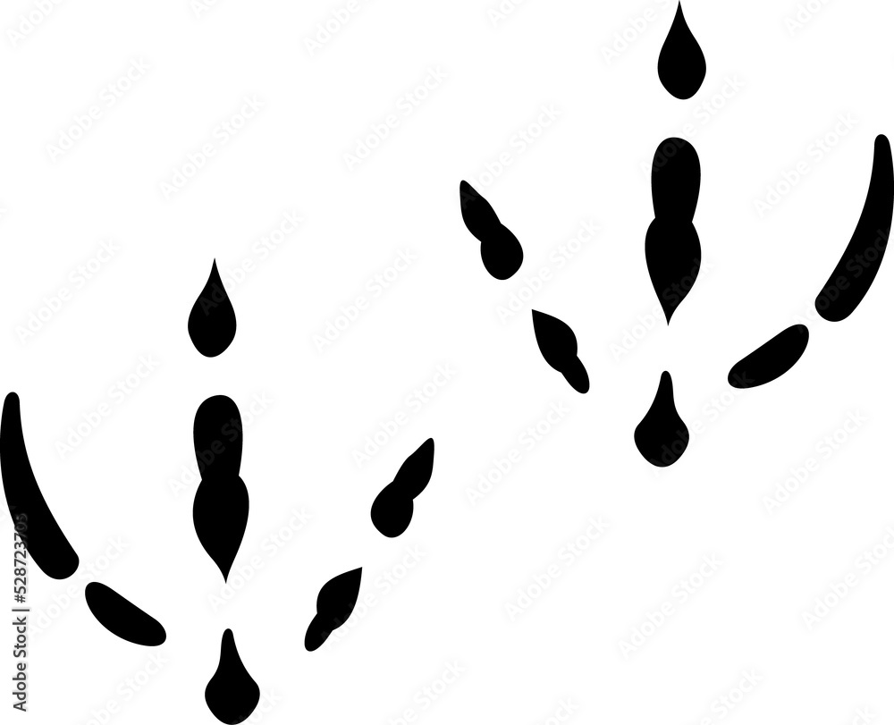 Raven or crow footprints of bird animal isolated Stock Illustration ...