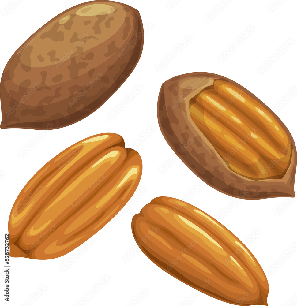 Cartoon peacun nut peeled and unpeeled superfood Stock Illustration ...