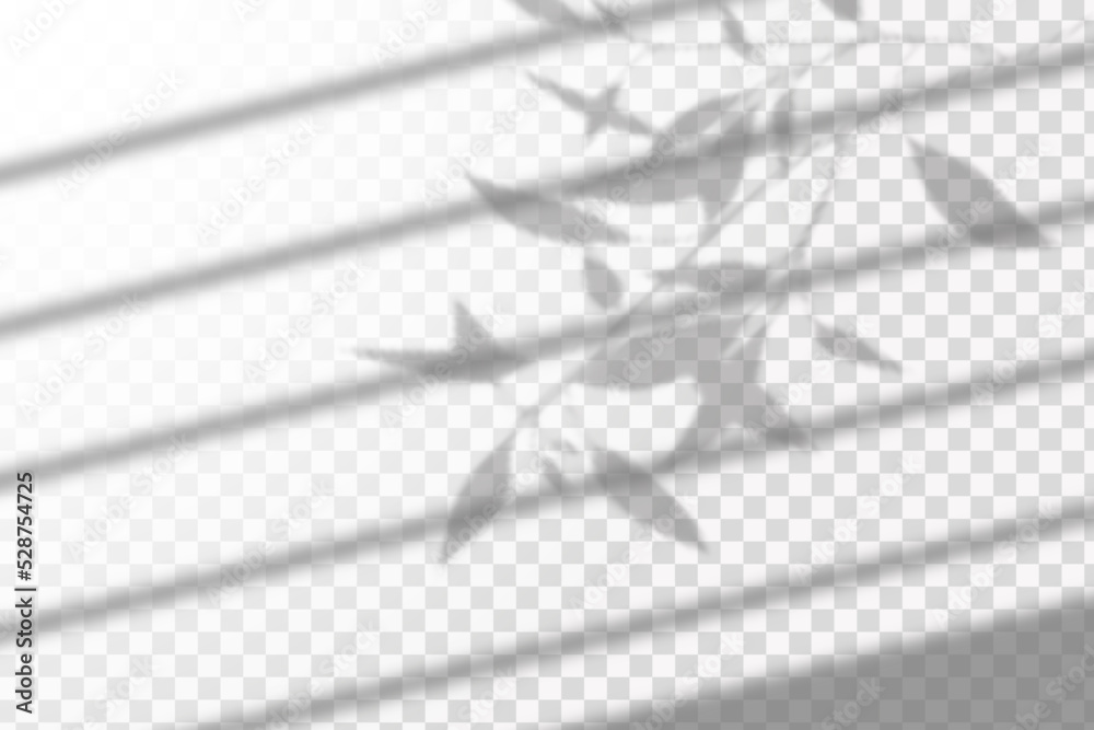 Soft shadow form window and plants, light overlay effect. Scenes of ...