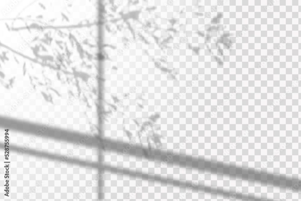 Soft shadow form window and plants, light overlay effect. Scenes of ...