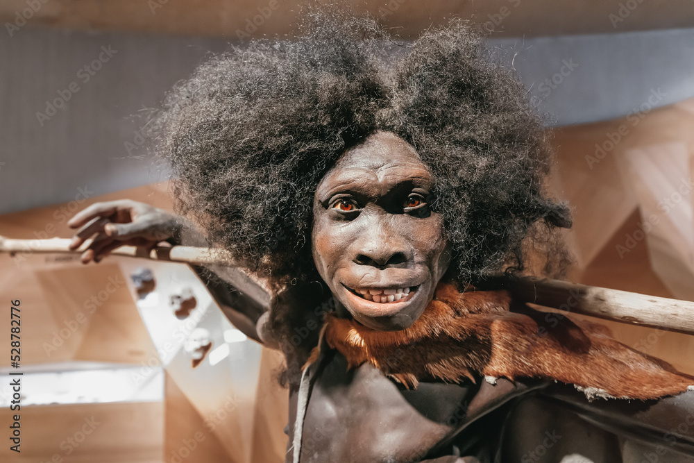 22 July 2022, Neanderthal museum, Germany: Detailed wax figure of a ...