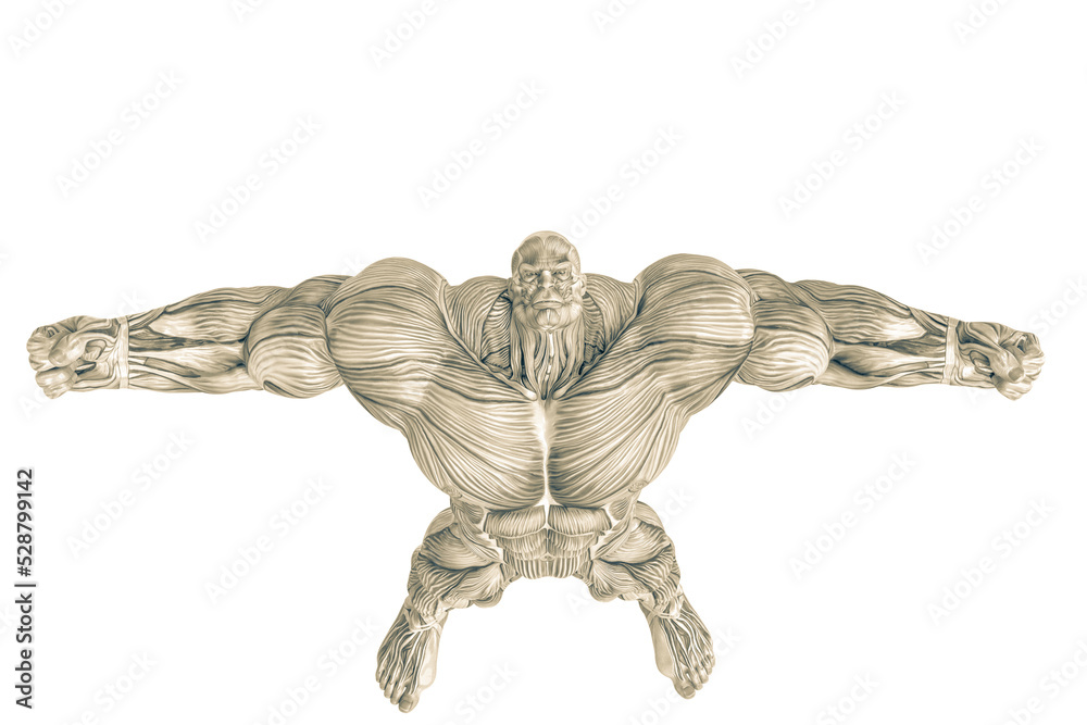 muscle maps of a strong man bird eye view Stock Illustration | Adobe Stock