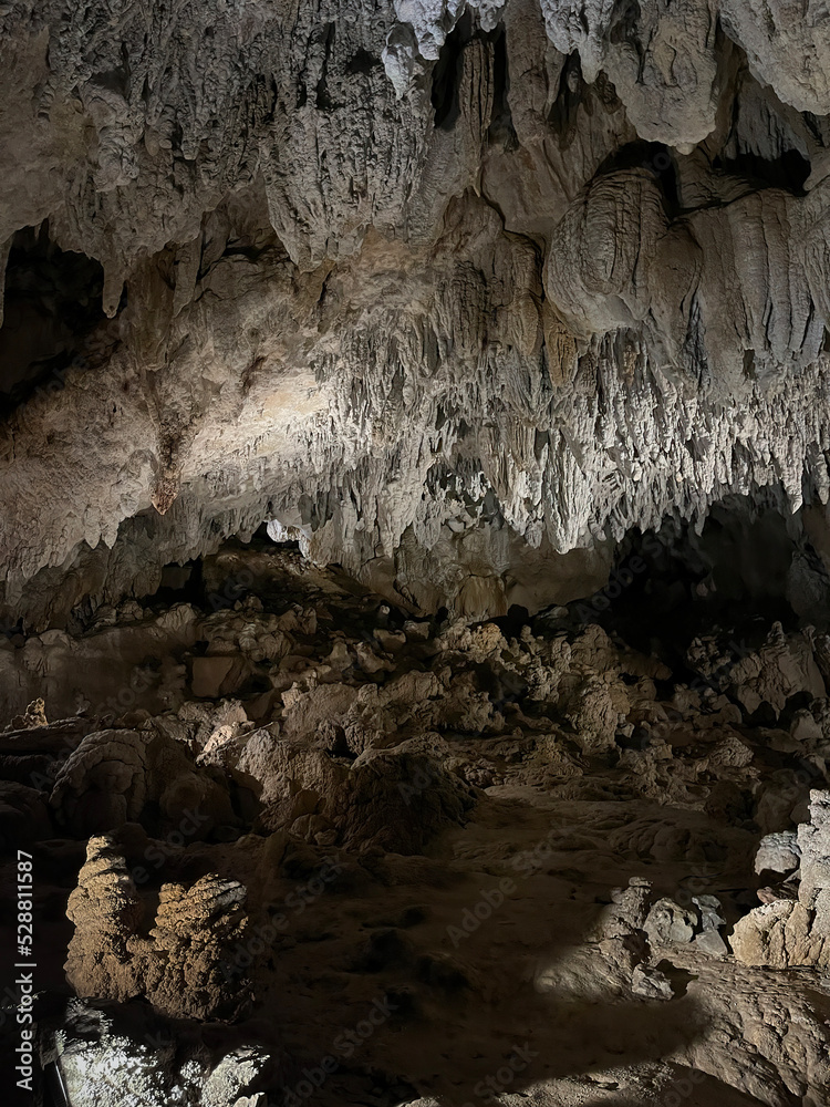 inside of a cave with a large gallery full of stalagmites and ...
