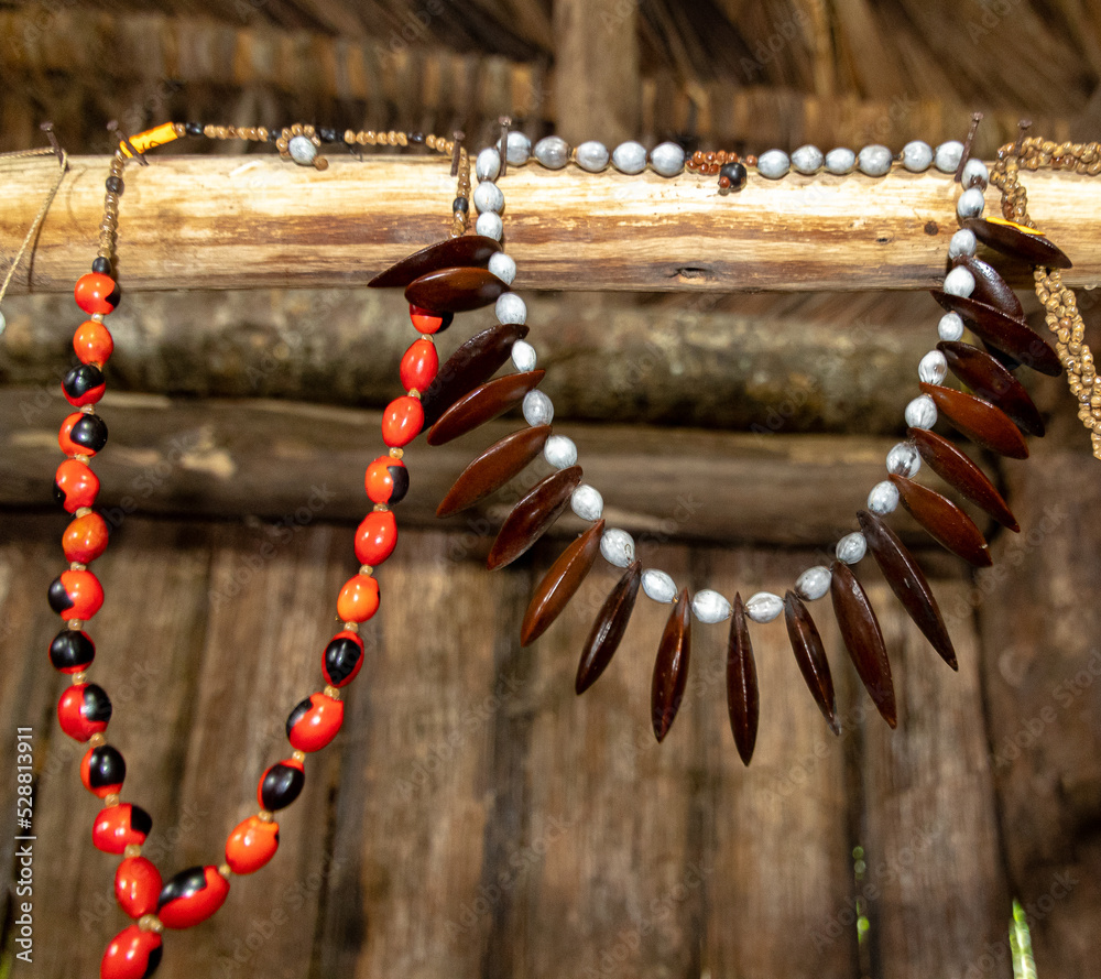 Botanical jewelry as necklace of Wayuri community in Pastaza province ...