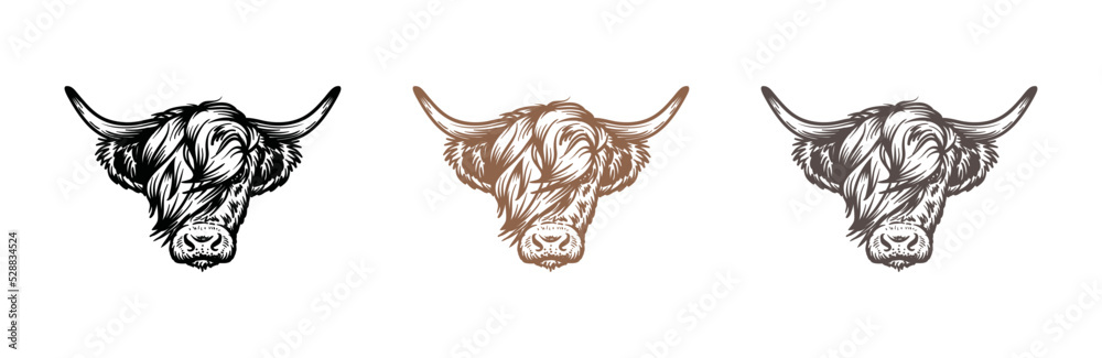 Head of highland cattle cow illustration hand drawn symbol icon logo ...