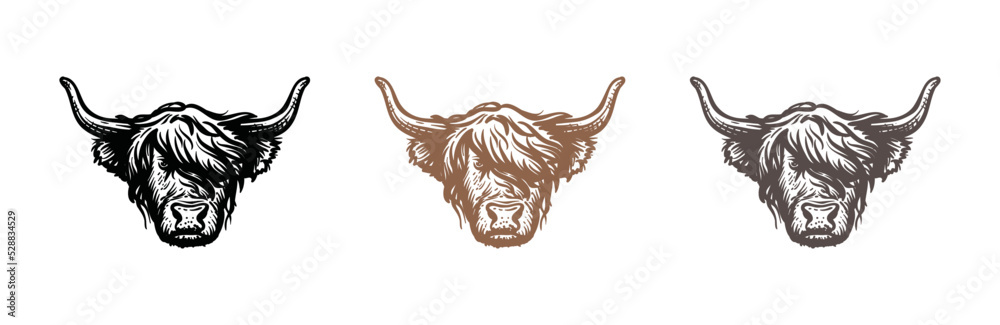 Head of highland cattle cow illustration hand drawn symbol icon logo ...