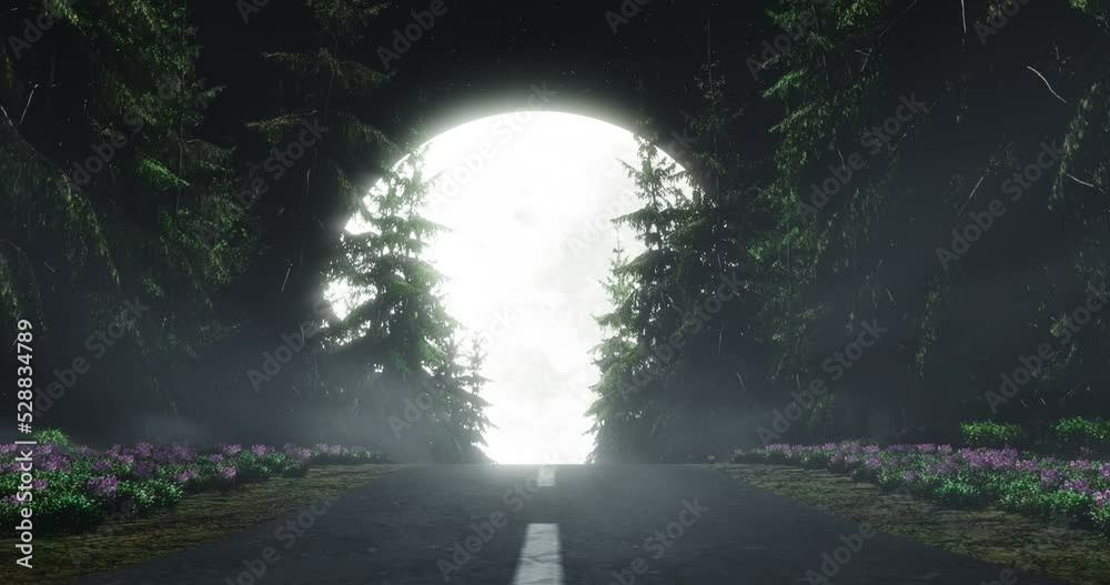 The road cuts through the mountain pine forest. There are flower bushes ...