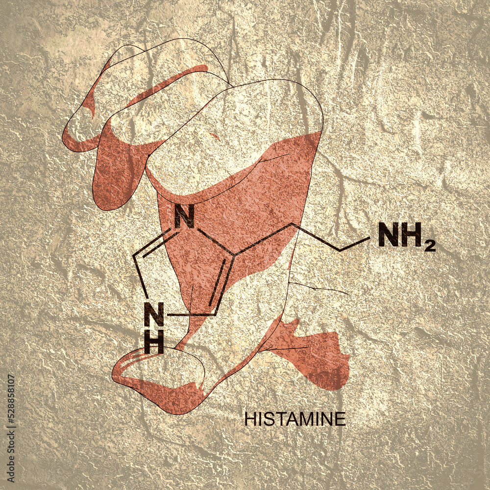 Hand holding chemical molecular formula of histamine. Stock Illustration | Adobe Stock