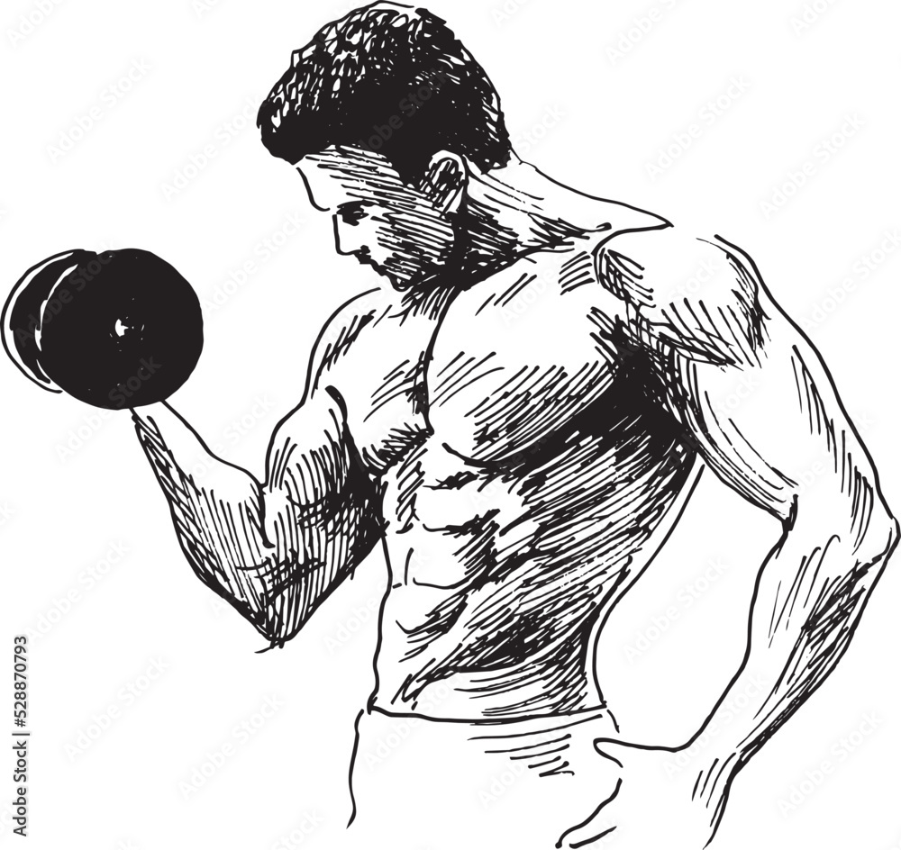 Hand sketch of a bodybuilder. Vector illustration. Stock Vector | Adobe ...
