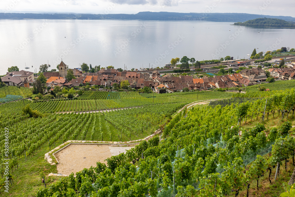 schweizer dorf twann am bielersee rebberg Stock Photo | Adobe Stock