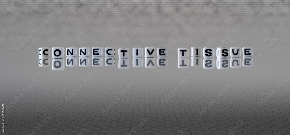 connective tissue word or concept represented by black and white letter ...