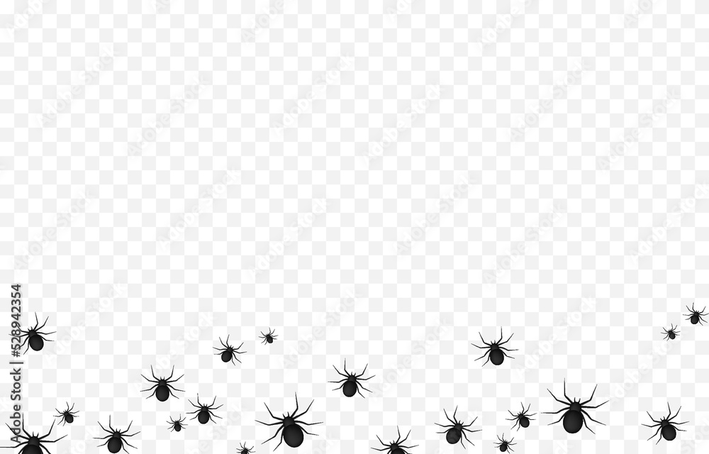 Vector spiders on an isolated transparent background. Background with ...