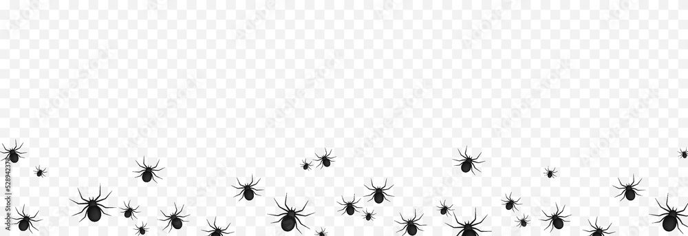 Vector spiders on an isolated transparent background. Background with ...