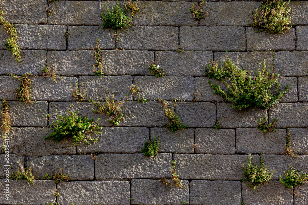 Large grey outdoor building gravel material wall with bushes of green ...