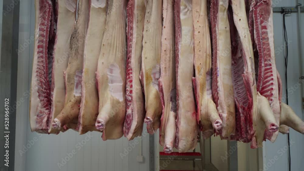 Video „Separation of meat from bone in a meat factory. Pork carcasses ...